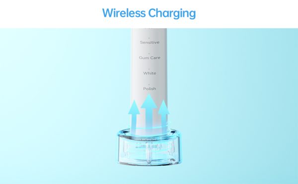 powsmart-Induction Charging Toothbrush Manufacturer | OEM Electric ...