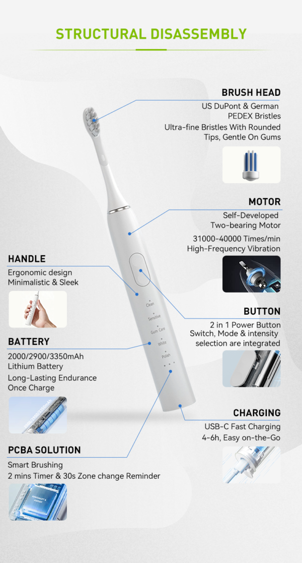 powsmart-Sonic Toothbrush Bulk Order Guide